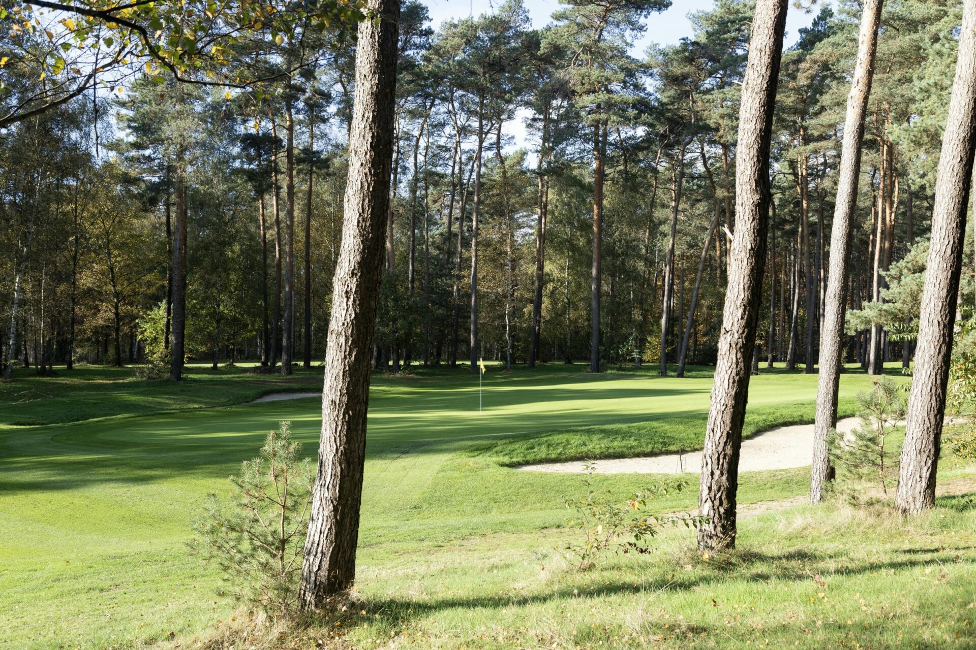 Golfbaan - Spiegelven